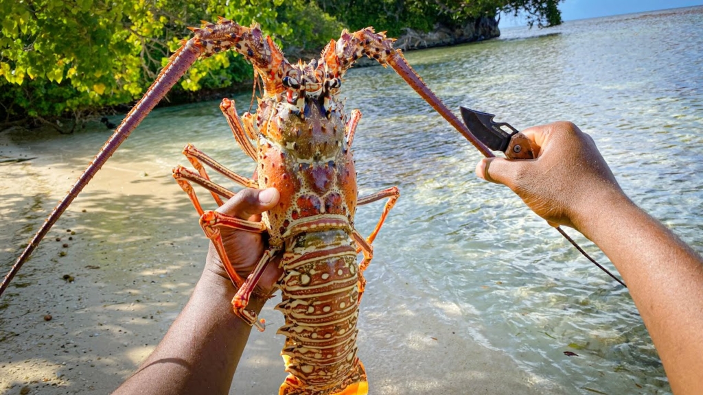 Best Lobster Fishing In Zanzibar - Ayabeach.com